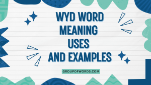 WYD: Understanding the Meaning, Usage, and Examples